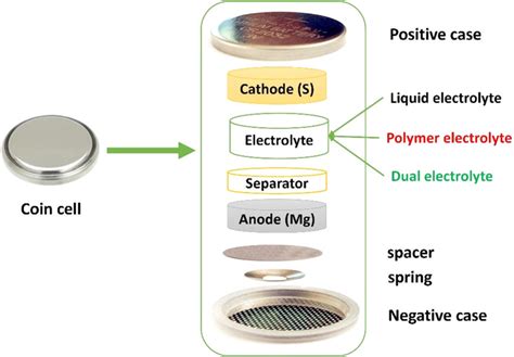 The Coin Cell Construction A Separator Liquid Electrolyte Carrier Is