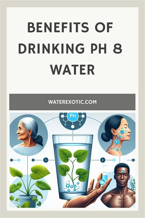 Benefits Of Drinking Ph 8 Water In 2024
