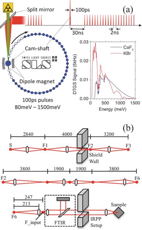 Ultra Broadband Infrared Pump Probe Spectroscopy Using Synchrotron Radiation And A Tuneable Pump