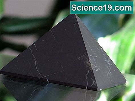 Prijenos Signala Definicija Funkcija Primjeri 💫 Znanstveno Popularni