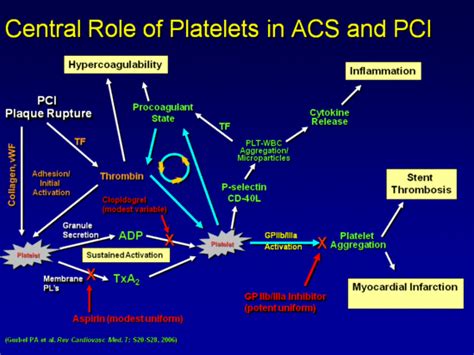 [심장] Acs Medication 네이버 블로그