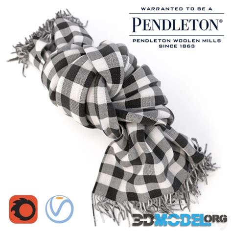 3d Model Pendleton Blanket
