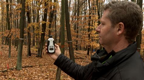 video field measurement of effective leaf area index using optical