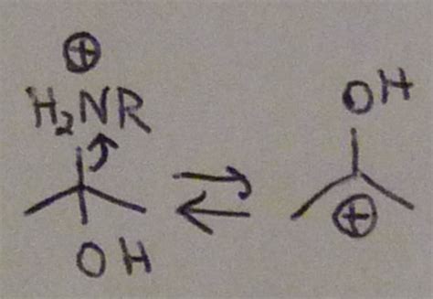 Organic Chemistry Imine Formation And Hydrolysis Hubpages