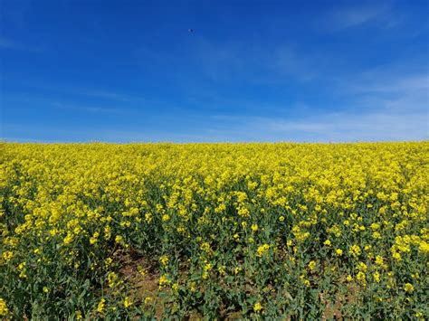 Which Programming Languages Are Best Worst