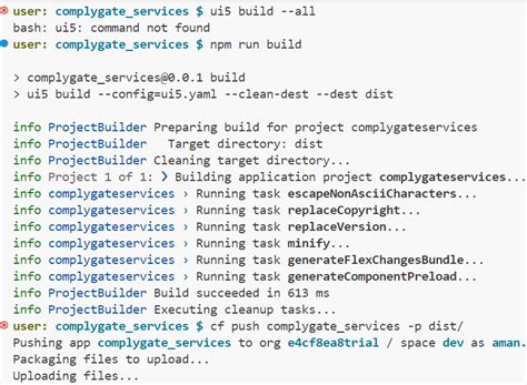 Sapui5 Failed To Deploy Fiori App On On Cloudfoundry