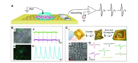 Graphene Microelectrode Arrays A Schematic Of An Download Scientific Diagram