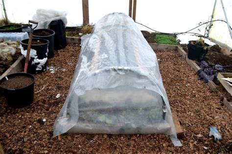 Garden DIY Building A Polytunnel Sara S Kitchen Garden