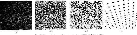 Figure 12 From Shape From Texture Integrating Texture Element Extraction And Surface Estimation