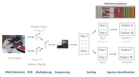 Dna Barcodes To Characterize Biodiversity Encyclopedia Of The Environment