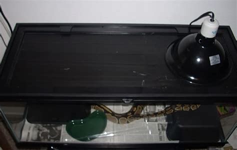 My Plastic Tub Setup For My Ball Python
