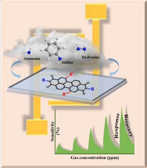 Review Recommendation Sensors Hydrazine Ammonia Molecules Gas Sensing Analysis