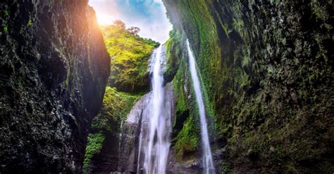 오늘 중복이자 유두절유두절이 뭐길래