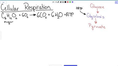 What Is The Correct Chemical Equation For Cellular Respiration