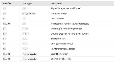Manuel RadovanoviĆ Understanding Primitive Data Types In The C