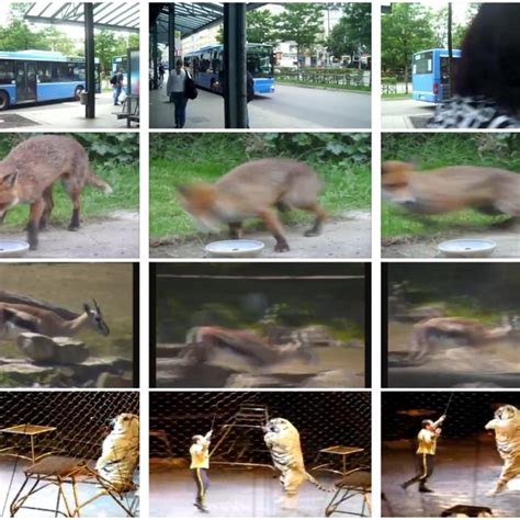 challenges in video object detection first row part occlusion second