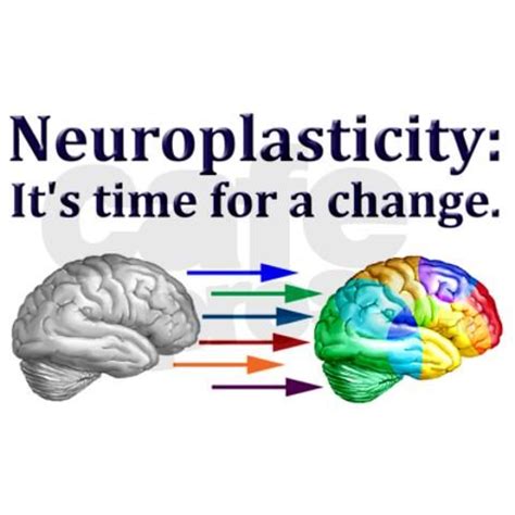 34 Best Neuroplasticity Rewiring The Brain Images On Pinterest