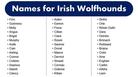 Names For Irish Wolfhounds Majestic And Noble Choices