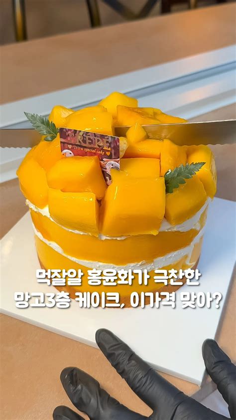 망고 5개 들어간 케이크가 겨우 39900원 광고 완전 이득🥭 동화 속 같은 분위기에서 디저트 즐길 수 있는 감성 베이커리 카페인데 망고로 층층이 쌓은 케이크는 자르면