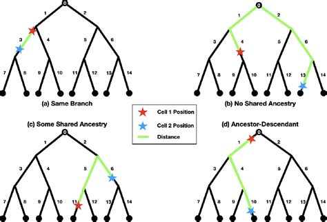 Figure 3 From Trajectory Exploration And Inference For Scrna Seq Data On Whole Versus Leaf Ends