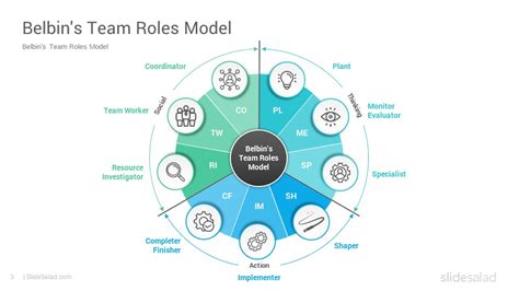 Belbin S Team Roles Model PowerPoint Template Diagrams SlideSalad
