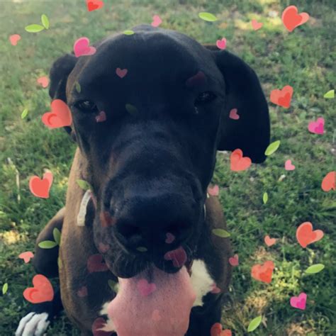 Peyton White Youtube