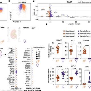 Identifying Genes Differentially Expressed Between Male And Female Download Scientific Diagram