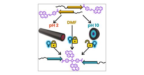 Peptide Self Assembly Controlled Photoligation Of Polymers Journal Of The American Chemical