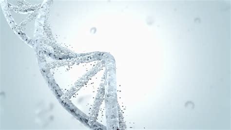 Science Animation Stock Video Footage Royalty Free Science Animation Videos Pond5