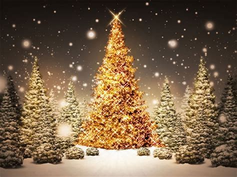 ყველაზე ძვირად ღირებული საახალწლო ნაძვის ხეების ტოპ 10 მკურნალი გე