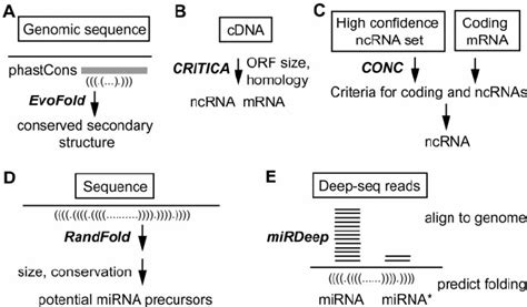 Schematic Representations Of Bioinformatic Strategies For Detection And