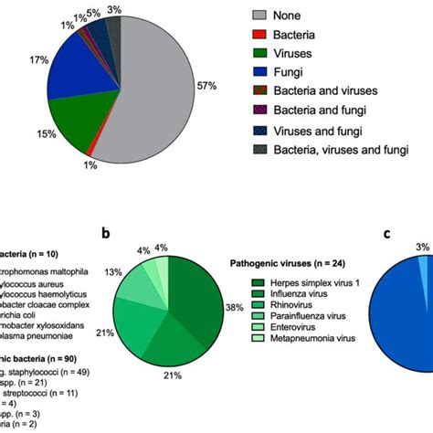 Detection Of Pathogenic Bacteria Viruses Or Fungi In Bronchoalveolar