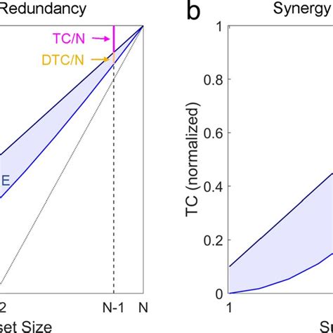 Topography And Functional Specialization Of Randomly Sampled Download Scientific Diagram