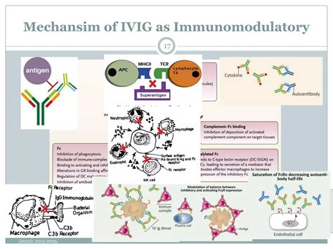 Intravenous Immunoglobulin Therapy Ivig Pptx