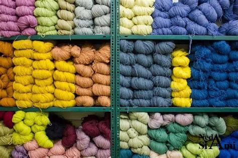 Neda Siami Insearchpk