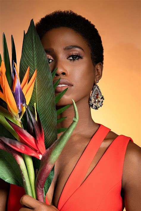 Novina The Artistry Of Rachel