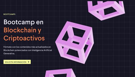 Mejores Bootcamps De Programación En Argentina En 2025
