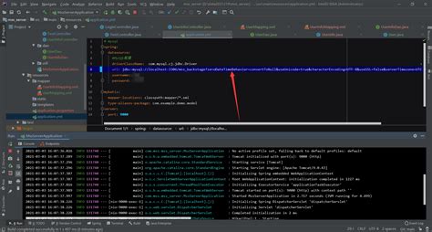 Springboot Error Commysqlcjexceptionsdatareadexception Zero Date