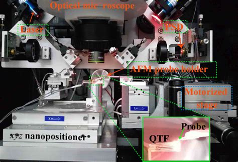 figure 3 from amplitude calibration of quartz tuning fork qtf force sensor with an atomic