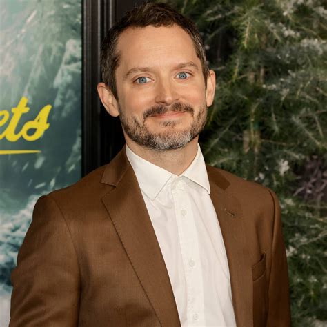 Elijah Wood Net Worth 2025 Parade