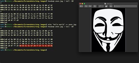 Github Lucthienphong1120basic Steganography Basic Steganography