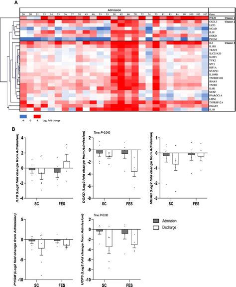 A Hierarchal Clustering On 27 A Priori Selected Genes Which Were Download Scientific Diagram