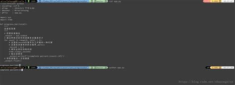 用python给程序加个进度条 如何在python中加入进度条 csdn博客