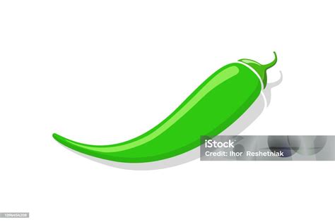 피망 녹색 온화한 칠리 카이엔 파프리카 흰색 배경에 고립 된 그림자가있는 후추 아이콘 순한 뜨거운 매운 칠리 야채의 그림 음식 로고 벡터 고추류에 대한 스톡 벡터 아트 및