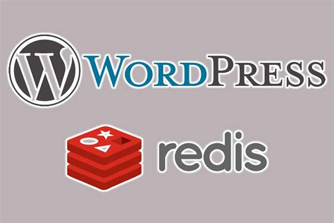 Wordpress使用redis做物件快取 蜥蜴遇水寒