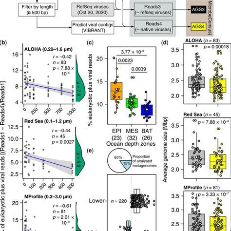 Overview Of Sketching And Sampling Methods Top The Screen Is Download Scientific Diagram