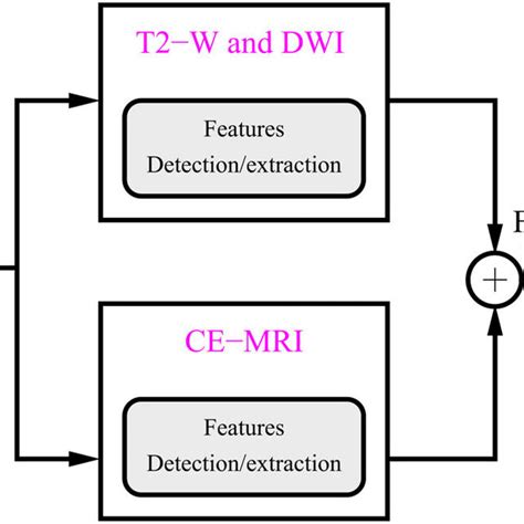 Cad System For Multiparametric Breast Mr Images Download Scientific Diagram