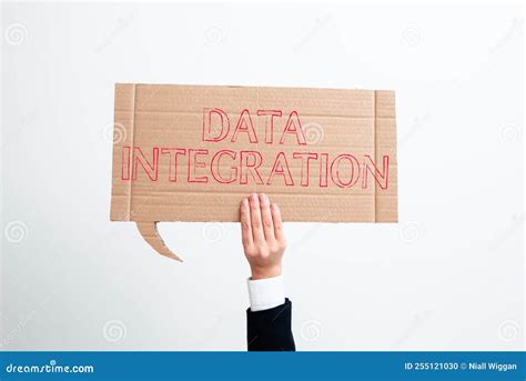 conceptual display data integrationcombination of technical and