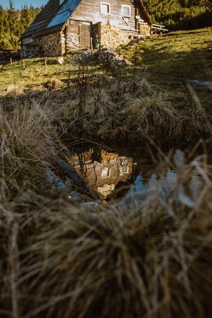 Plantas Que Crecen En Edificios Abandonados Foto Premium