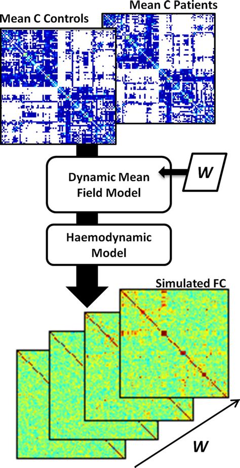Structural Connectivity In Schizophrenia And Its Impact On The Dynamics